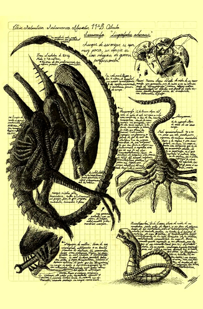 Xenomorfo – Revista Coágula