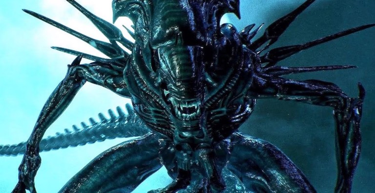 Xenomorfo – Revista Coágula
